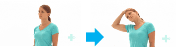 Trapezius - Muscle of the Month (Feb) | Physionorth